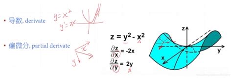 深度学习与神经网络（一）：梯度 And 损失函数 梯度损失 Csdn博客