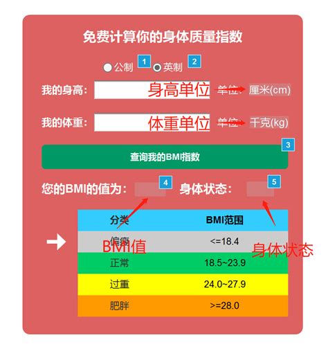 Axure教程在线BMI计算器制作 状态