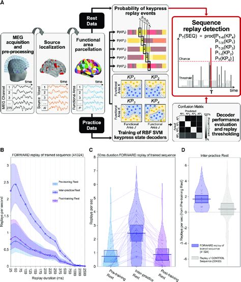 Replay Detections A Replay Detection Analysis Pipeline Raw Meg Data