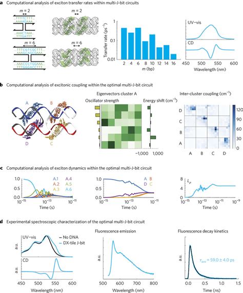 structure based computational design and experimental characterization