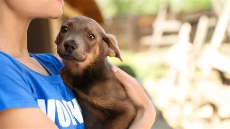 Професійні випробування які три знаки зодіаку чекають труднощі на роботі Читайте на Ukr Net