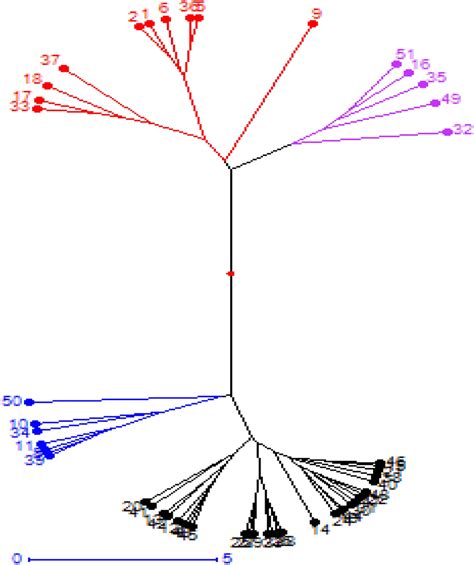 Dendrogram Of 51 Rice Genotypes Generated Through Darwin Software Using