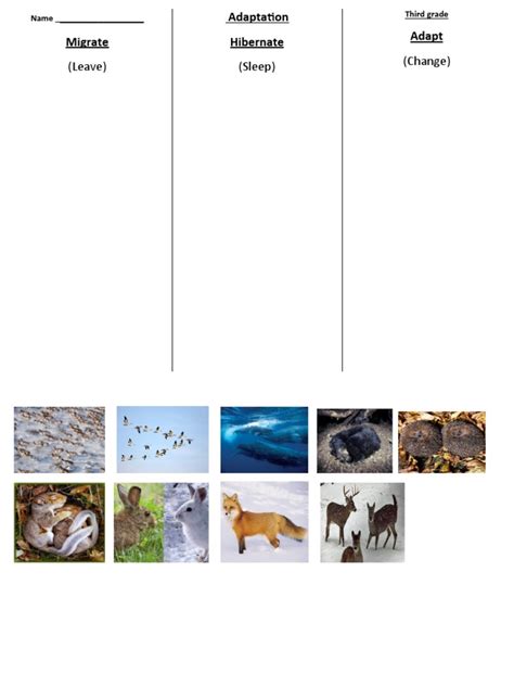 Migrate Hibernate Adapt Cut Paste Pdf
