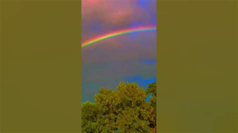Rianbow Youtube