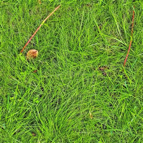 High Resolution Foto Realistic Seamless Texture Of Green Grass And