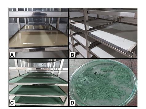Sporulation Of Trichoderma Isolates On Wa Medium Employing Laiss A Sporulation Of Trichoderma Isolates On Wa Medium Employing Laiss A