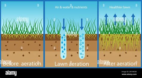 Aeration Of The Lawn Enrichment With Oxygen Water And Nutrients To