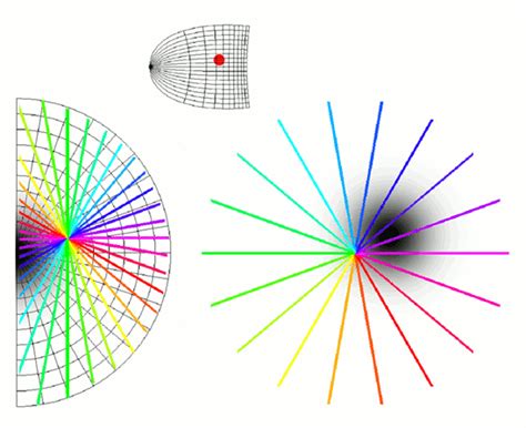 Contextual Modulation In The Primary Visual Cortex Perceptual Dynamics Lab