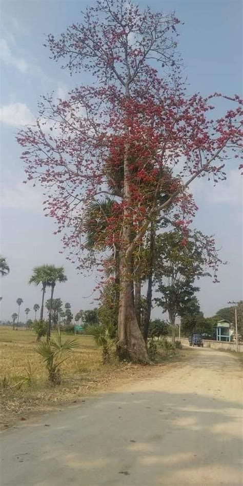 နွေဦးတော်လှန်ရေး New Life Myanmar Real Estate Facebook