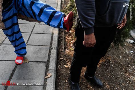 مشرق نیوز عکس بررسی صحنه جرم جنایت منتهی به شهادت علی‌ وردی