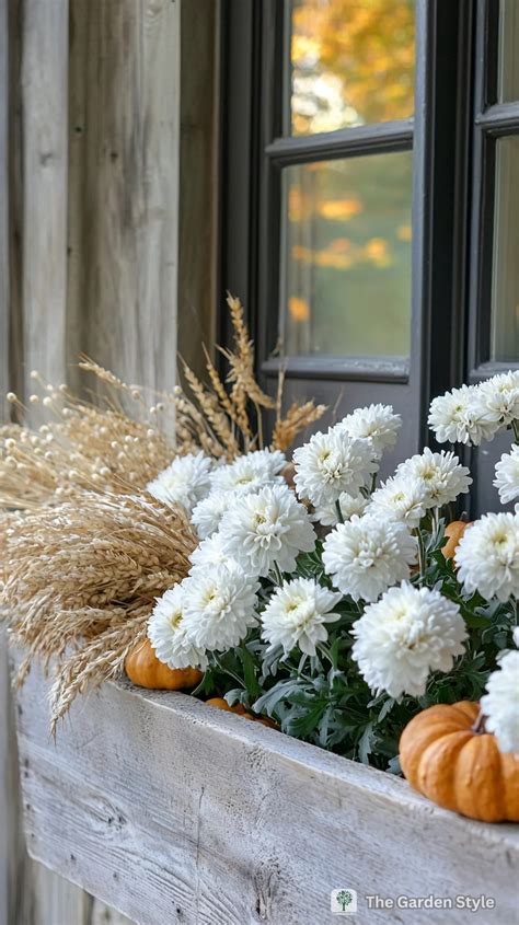 How To Decorate Fall Window Boxes Like A Pro The Garden Style