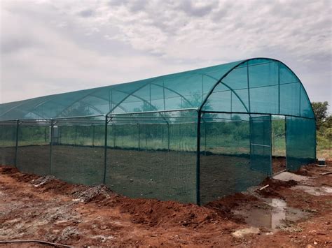 Top Greenhouse Tunnels Greenhouse Tunnels