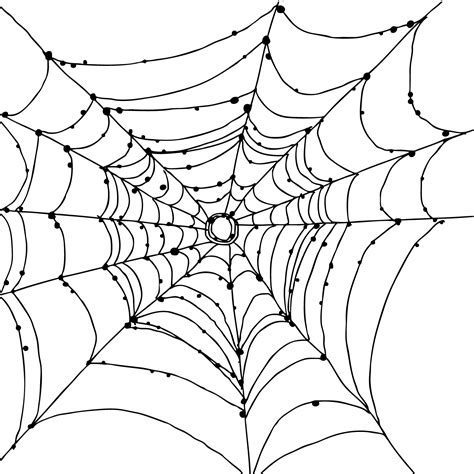 Spider Web Coloring Pages