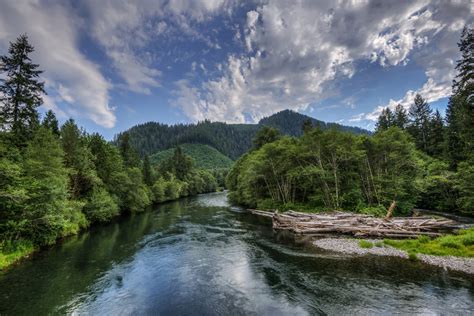 6 Must See Spots And Best Parts Of The Mckenzie River In Oregon That