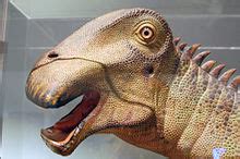 Nigersaurus Wikipedia