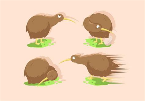 키위 새 벡터 일러스트 레이 션 세트 Svg Ai Uidownload