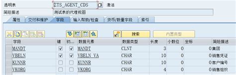 Abap基本知识 表的代理视图及表数据维护 Csdn博客