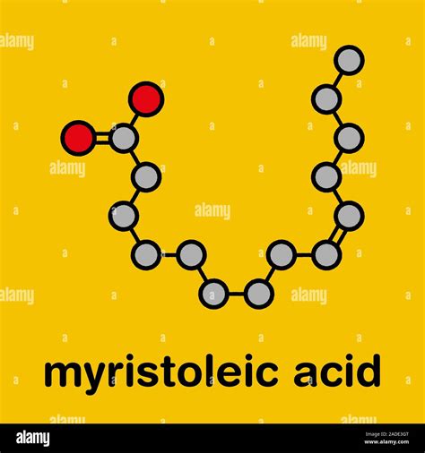 Myristoleic Acid Omega 5 Fatty Acid Molecule Stylized Skeletal Formula Chemical Structure