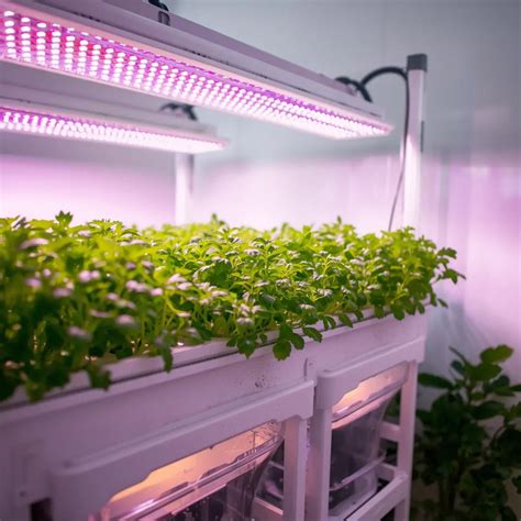 Small Hydroponic Systems For Apartments Kitchens And Balconies