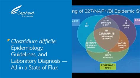 The C Diff Testing Algorithm A Clinicians Ultimate Guide Wiki Scienceblog