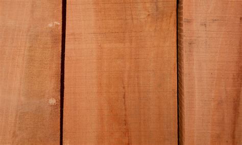 Raulí Maderas Fresard