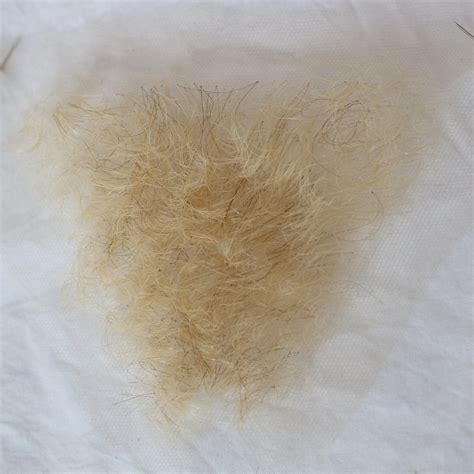 Merkin Pubic Wig Etsy