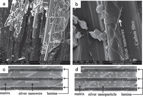 A B Sem Images Showing The Carbon Fiber Reinforced Epoxy Composite Download Scientific