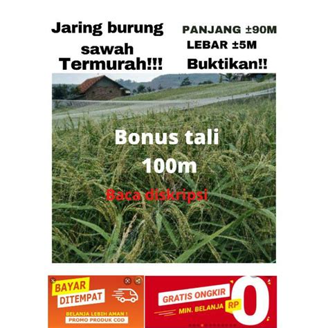 Jual Jaring Burung Kecil 2 Jaring Sawah Jaring Burung Pipit Shopee