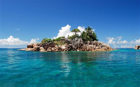 Los 10 Libros Que Te Llevarías A Una Isla Desierta Glup