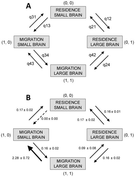 A General Model With Parameter Notations And B Model With Download Scientific Diagram
