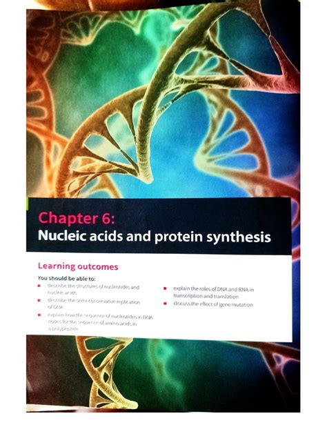 chapter 6 pdf