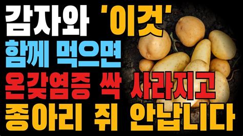 노년기 건강을 위해 감자 꼭 이렇게 드세요 무릎 통증 싹 사라지고 종아리쥐 다리쥐 안옵니다 몸속 온갖 염증 없어지고 고혈압