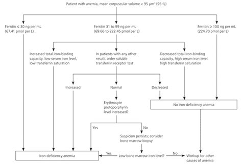 Diagnostic Algorithm For Iron Deficiency Anemia Download Scientific Diagram