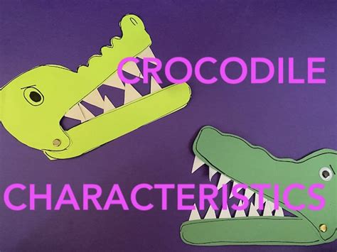 Crocodile Characteristics Girlstart