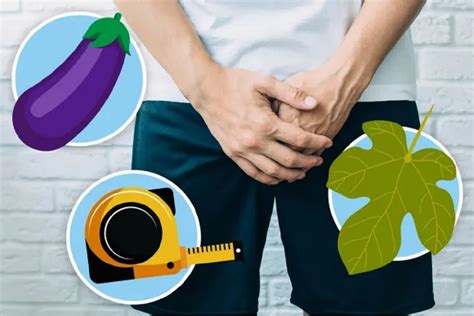 از نظر علمی آلت تناسلی مردان چه شکلی جذاب تر است؟