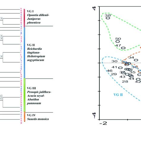 A Multivariate Analysis Of The 58 Sampling Stands By Twinspan