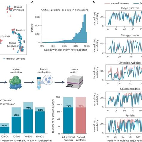 Large Language Models Generate Functional Protein Sequences Across Diverse Families