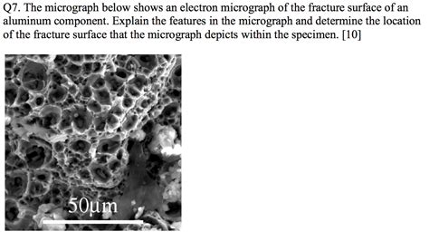 The Micrograph Below Shows An Electron Micrograph Of