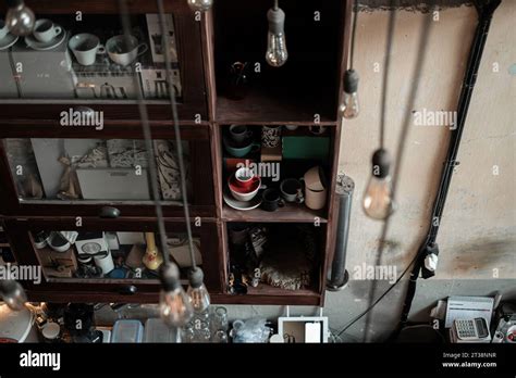 A Shelf Contains Cluttered Cups Mugs And Various Objects Of Different Sizes And Colors In