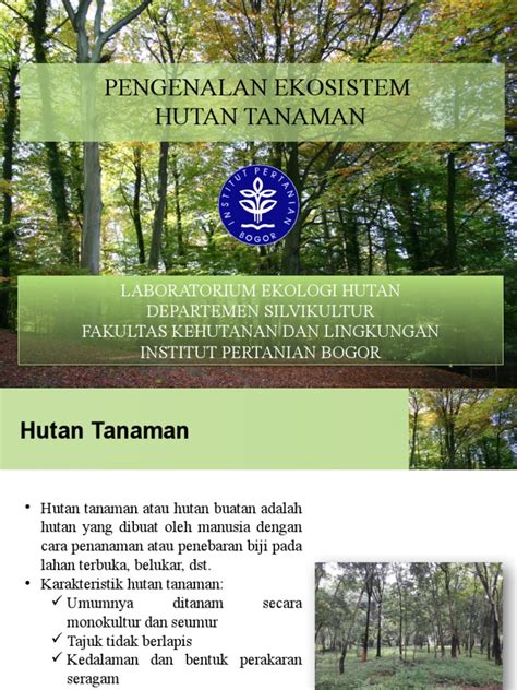 P3 Pengenalan Ekosistem Hutan Tanaman Pdf