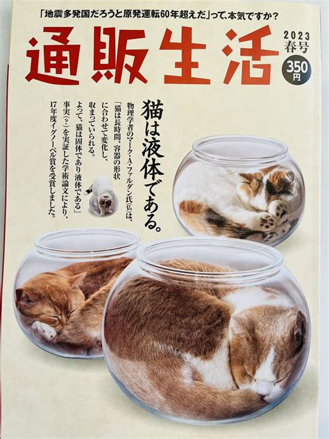 「ずっと尊敬している「通販生活」 ホットカーペット、空気清浄機、毛布などなど いろいろ買って それぞれ十年以上愛用しまし」深谷かほる「夜廻り猫