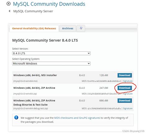 mysql 8 4 0解压版安装记录 mysql8 4驱动 csdn博客