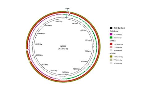 Circular Comparison Of C6828 Mrsa And C6829 Mssa Genomes Using