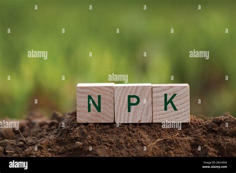 Npk Letters On Wooden Blocks With Soil N Nitrogen P Phosphorus K