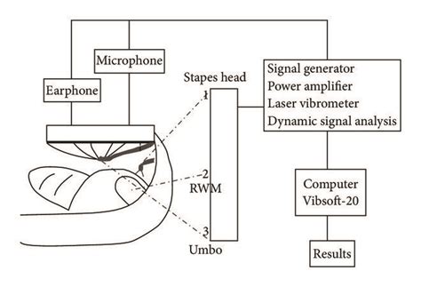 A The Measurement System Included A Compact Laser Vibrometer Coupled