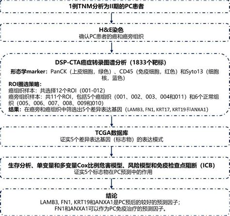 非因talk 非因生物dsp空间多组学助力胰腺癌生物标志物鉴定和预后分析 知乎