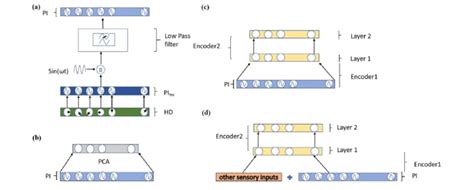 Outline Of The Model Architecture A Common Architecture Up To PI Download Scientific Diagram