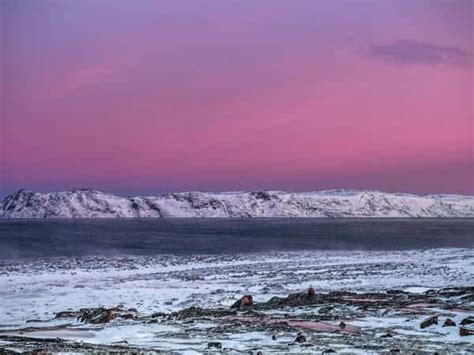 Гастрономические туры в Териберке по барам кафе или на дегустации 2025 цены отзывы