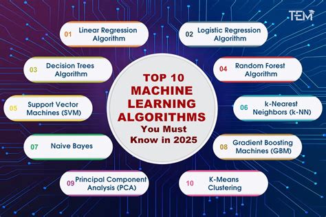 Top 10 Machine Learning Algorithms You Must Know In 2025