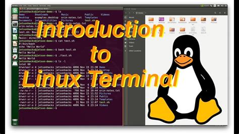 10 Beginning Linux Commands Youtube